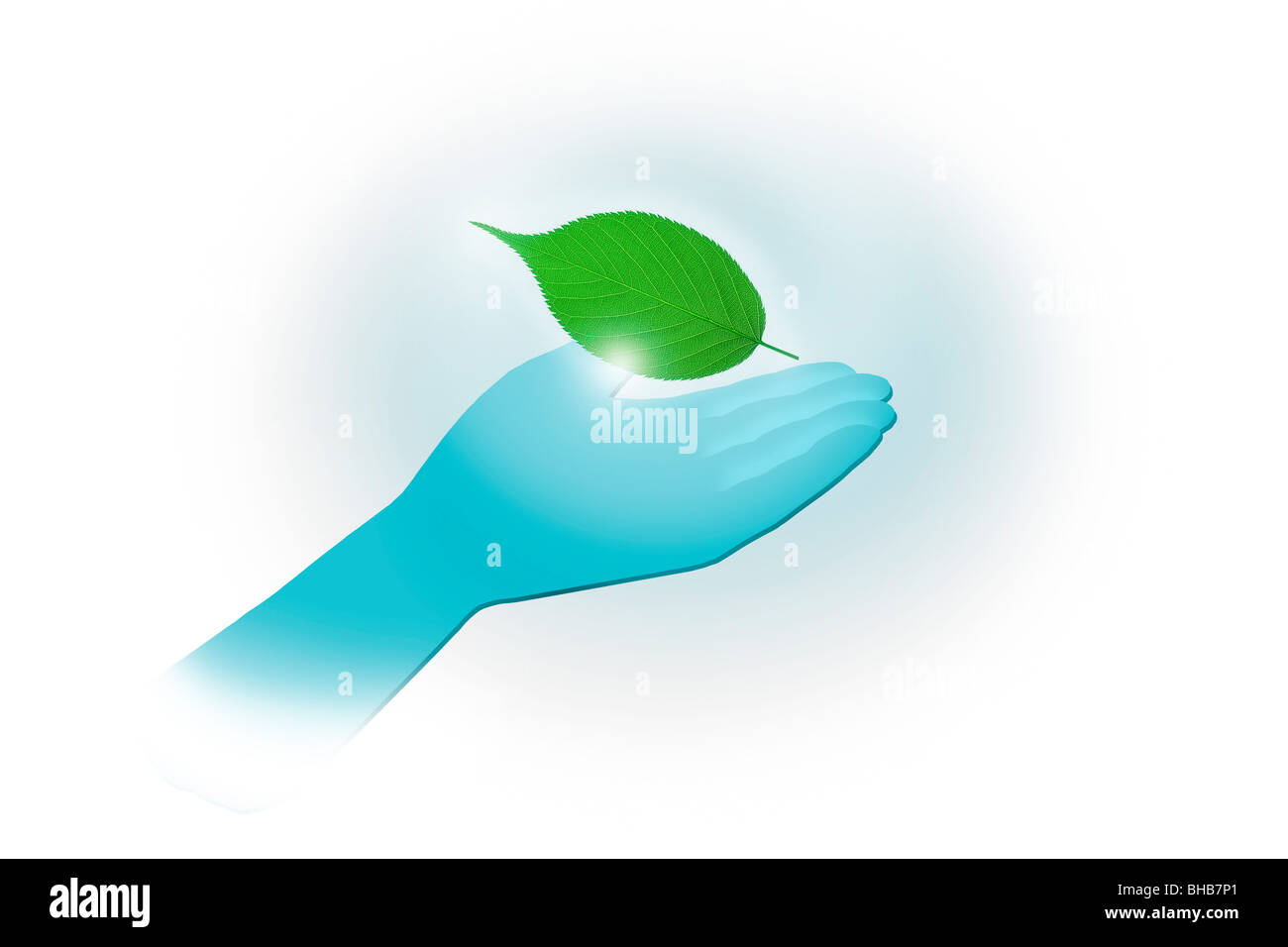 Human hand holding leaf Stock Photo - Alamy