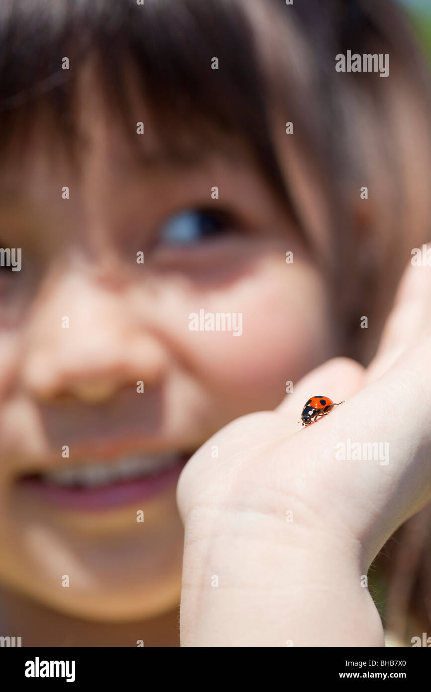 Japanese ladybug hi-res stock photography and images - Alamy