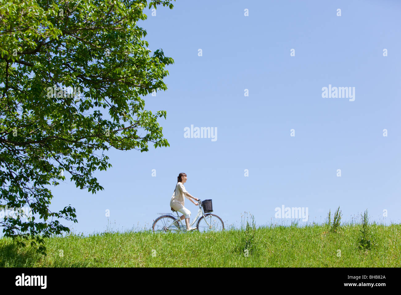 Japan, Tokyo Prefecture, Woman riding bicycle through meadow, side view ...