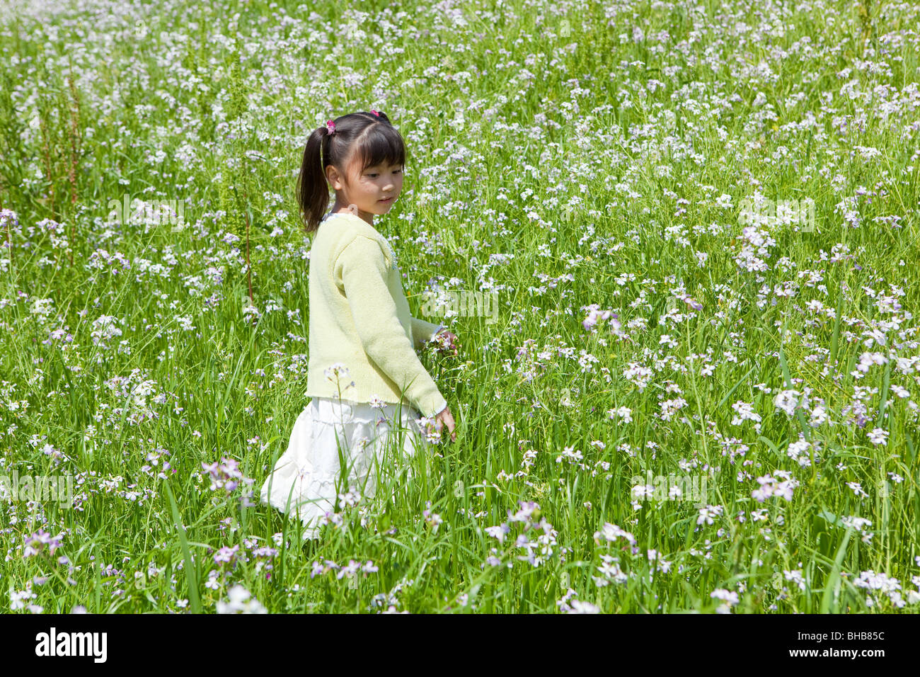 Children walking in tokyo hi-res stock photography and images - Alamy