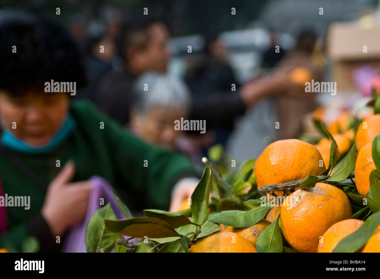 Truck with oranges hi-res stock photography and images - Alamy
