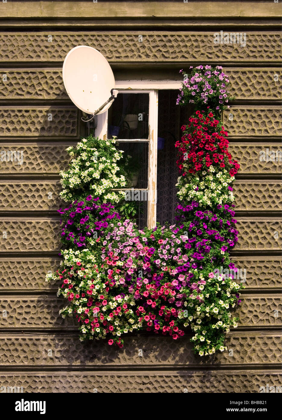 Poland, Krakow, decorative windows Stock Photo - Alamy