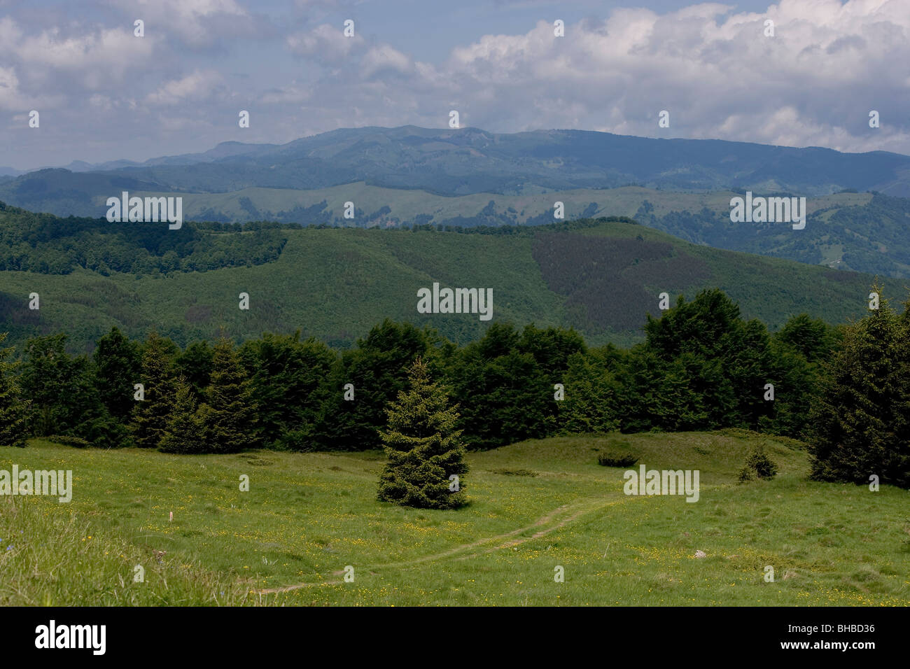 Bulgaria,Balkan near Chipka Pass Stock Photo - Alamy