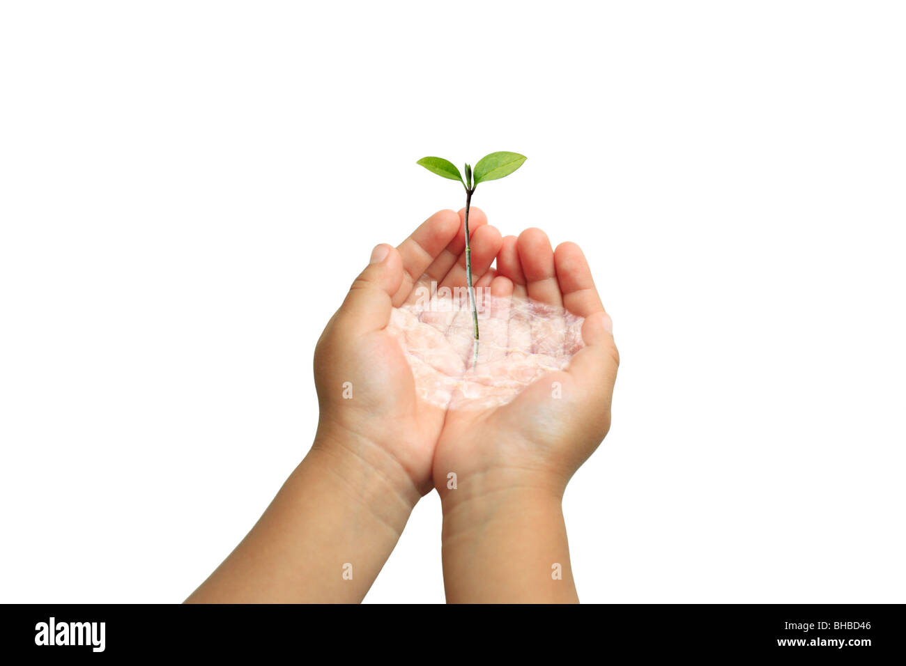 Child's hand holding seedling Stock Photo - Alamy