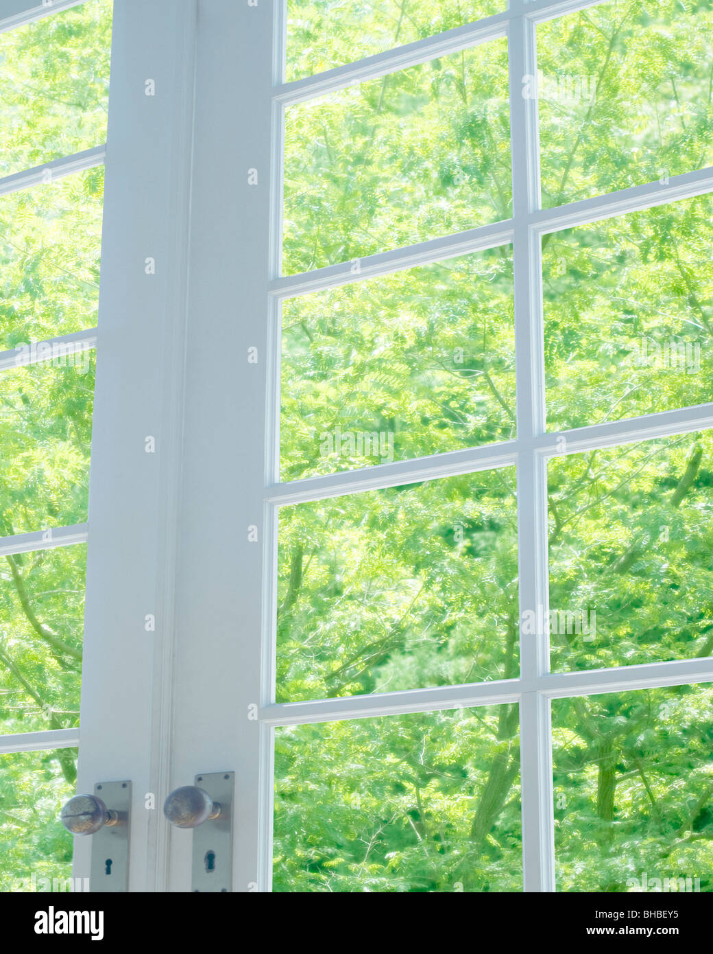 View of trees through window Stock Photo - Alamy