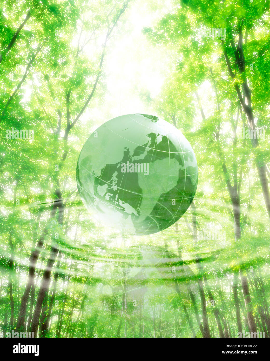 Globe with trees in background (digital composite Stock Photo - Alamy