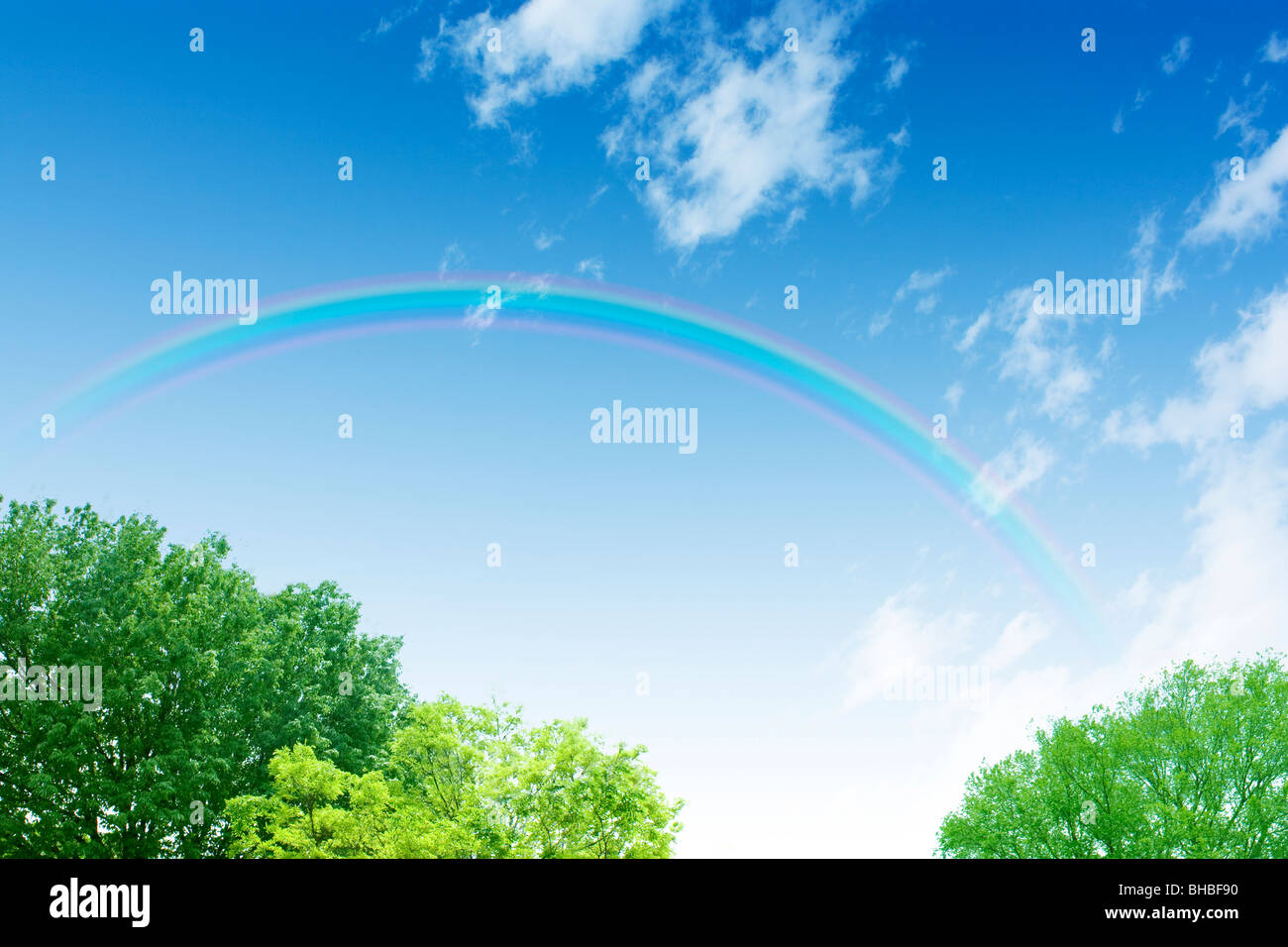 View of rainbow over trees Stock Photo - Alamy