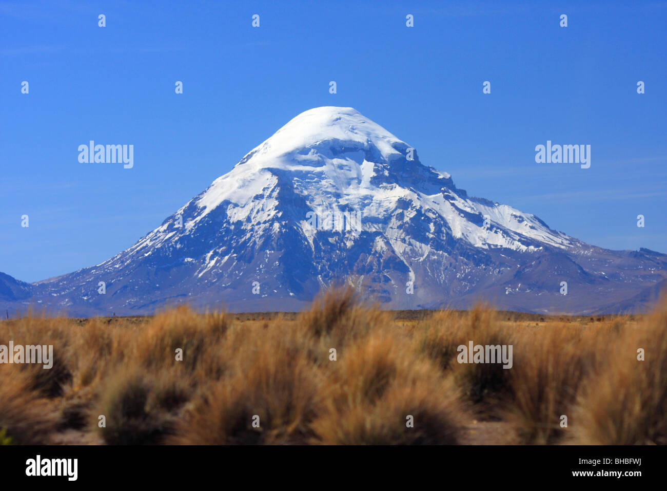 Sajama Bolivia High Resolution Stock Photography and Images - Alamy