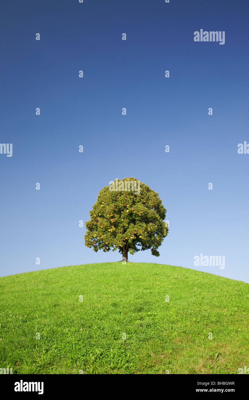 Countryside hilltop summer scenery hi-res stock photography and images ...