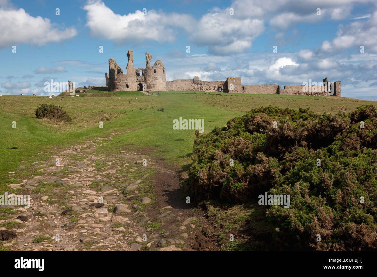 Dunstanburgh Castle, Northumberland, England Stock Photo - Alamy