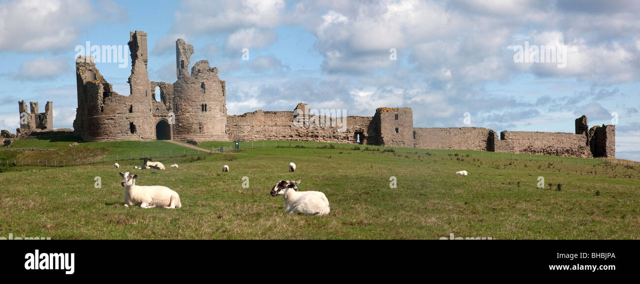 Sheep castle hi-res stock photography and images - Alamy