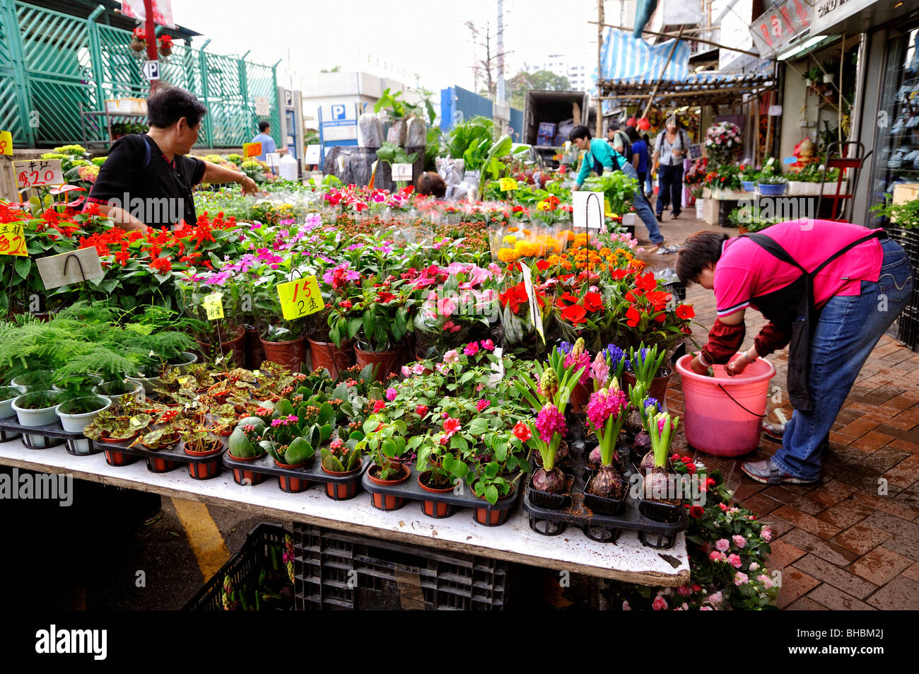 Flowers, plants and sellers among almost 50 odd flower shops and market ...