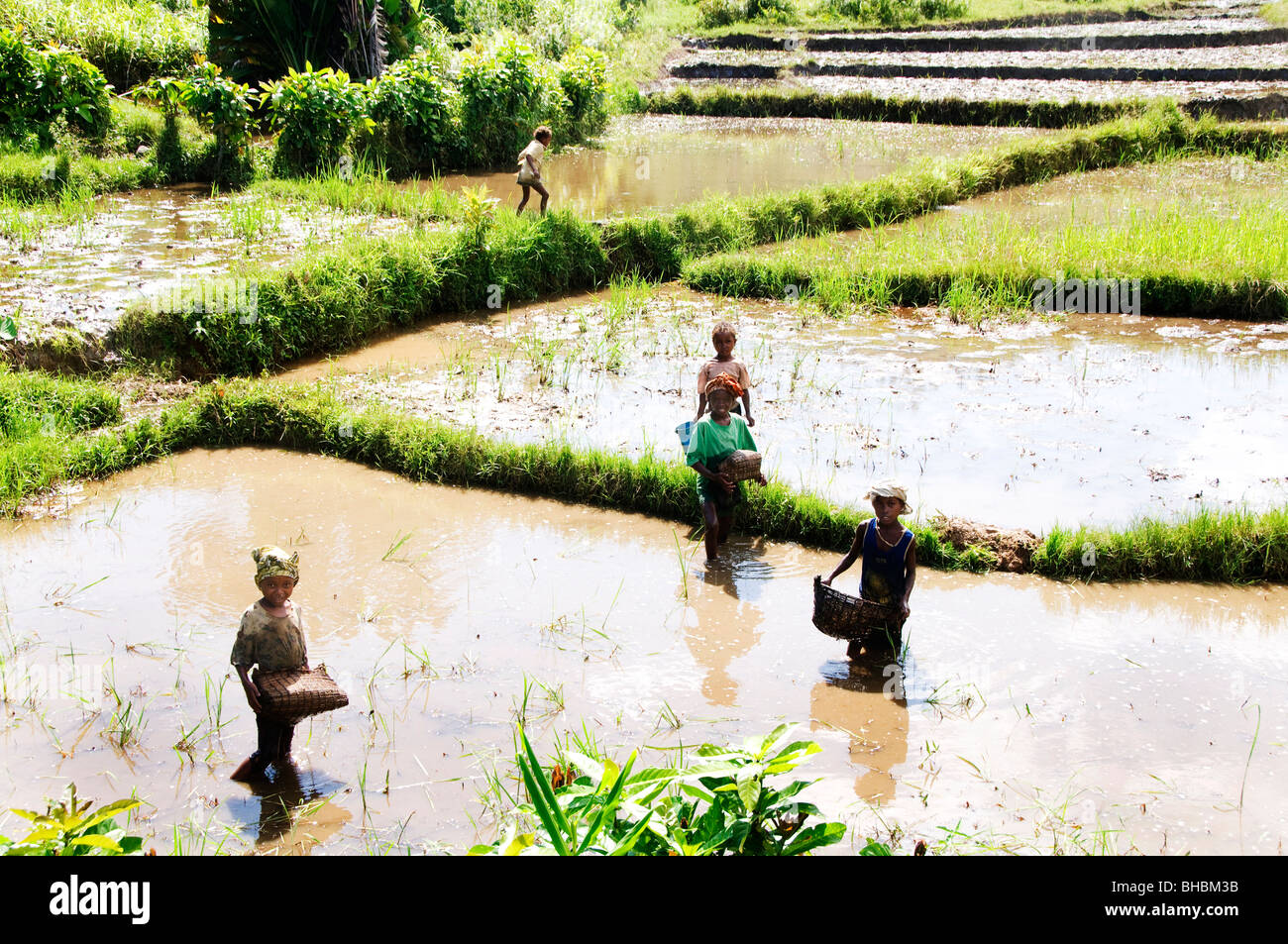 Child labour hi-res stock photography and images - Alamy