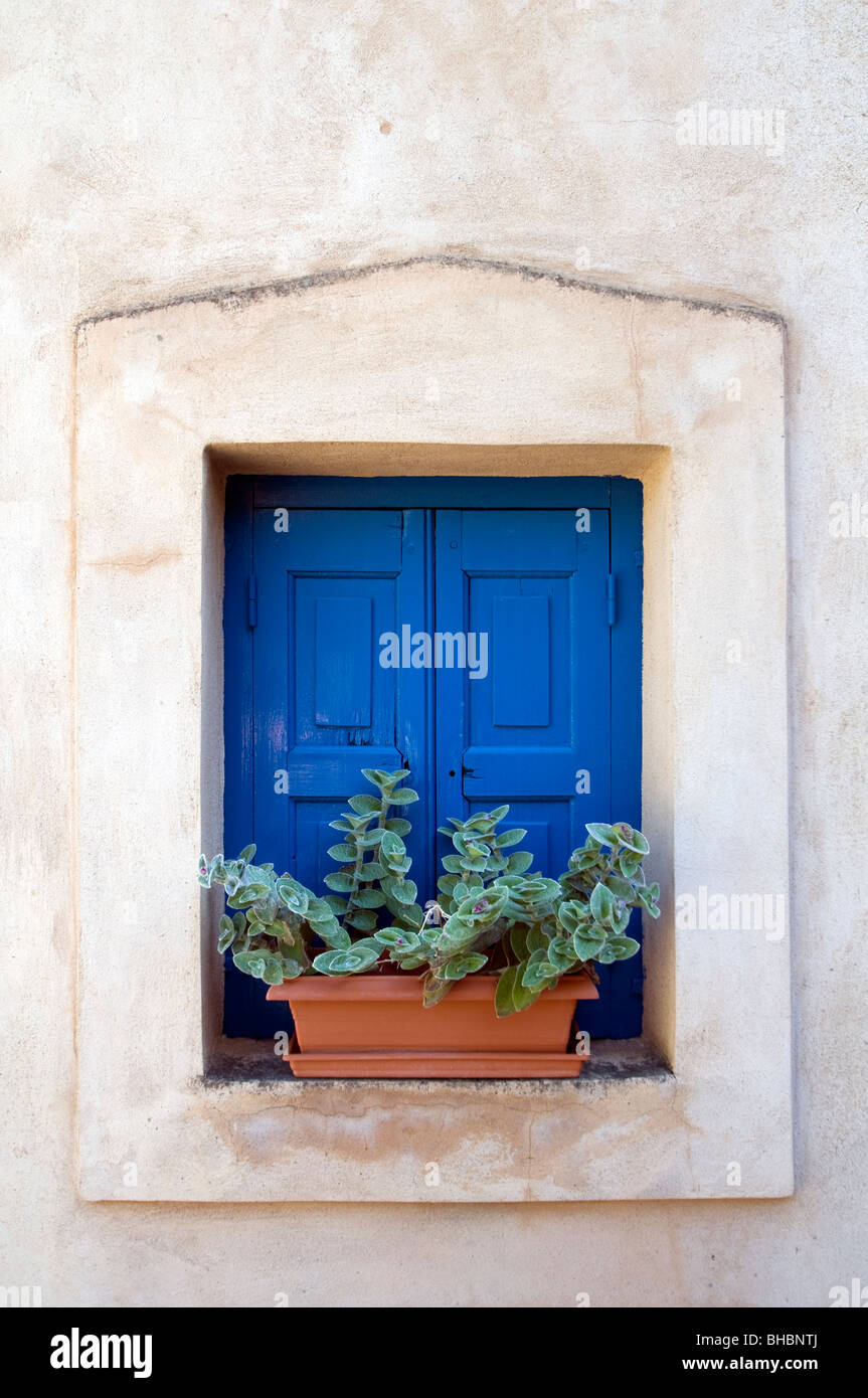Blue window with flowers, Vori, Crete, Greece, Europe Stock Photo - Alamy
