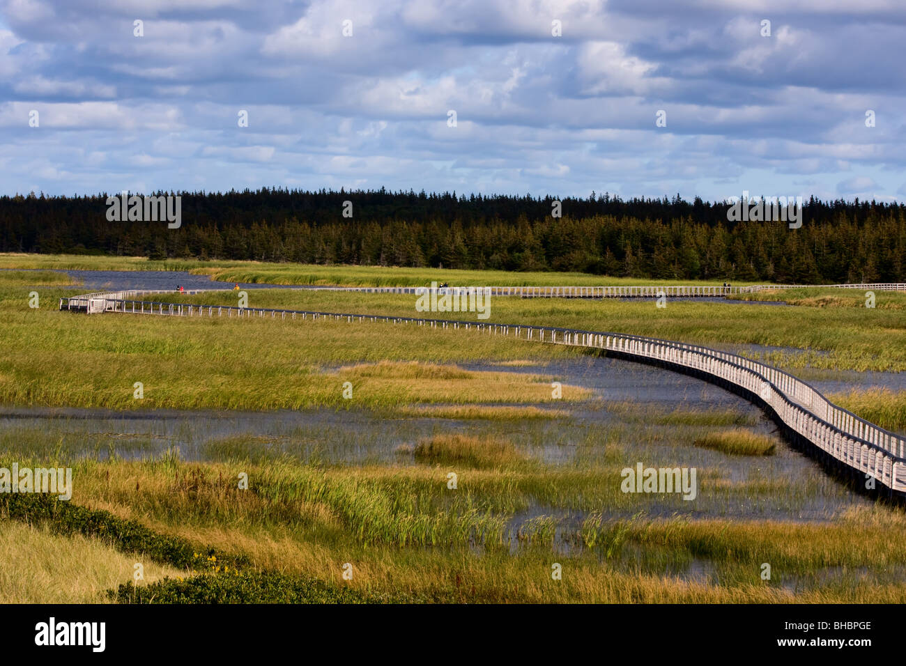 Floating Boardwalk in Greenwich National Park Stock Photo - Alamy