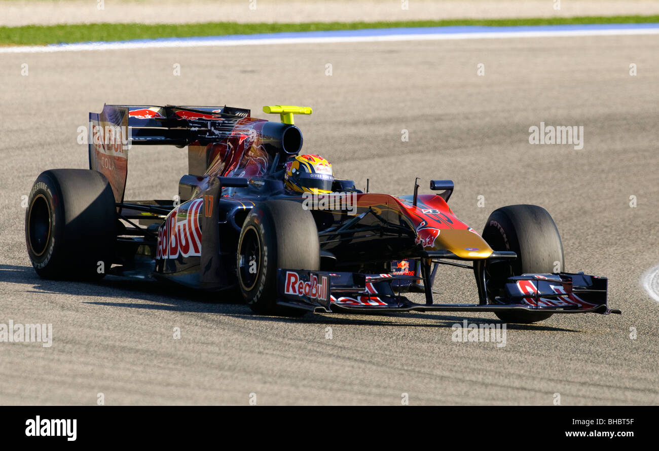 Jaime ALGUERSUARI (ESP), Scuderia Toro Rosso, driving the STR4 Formula ...