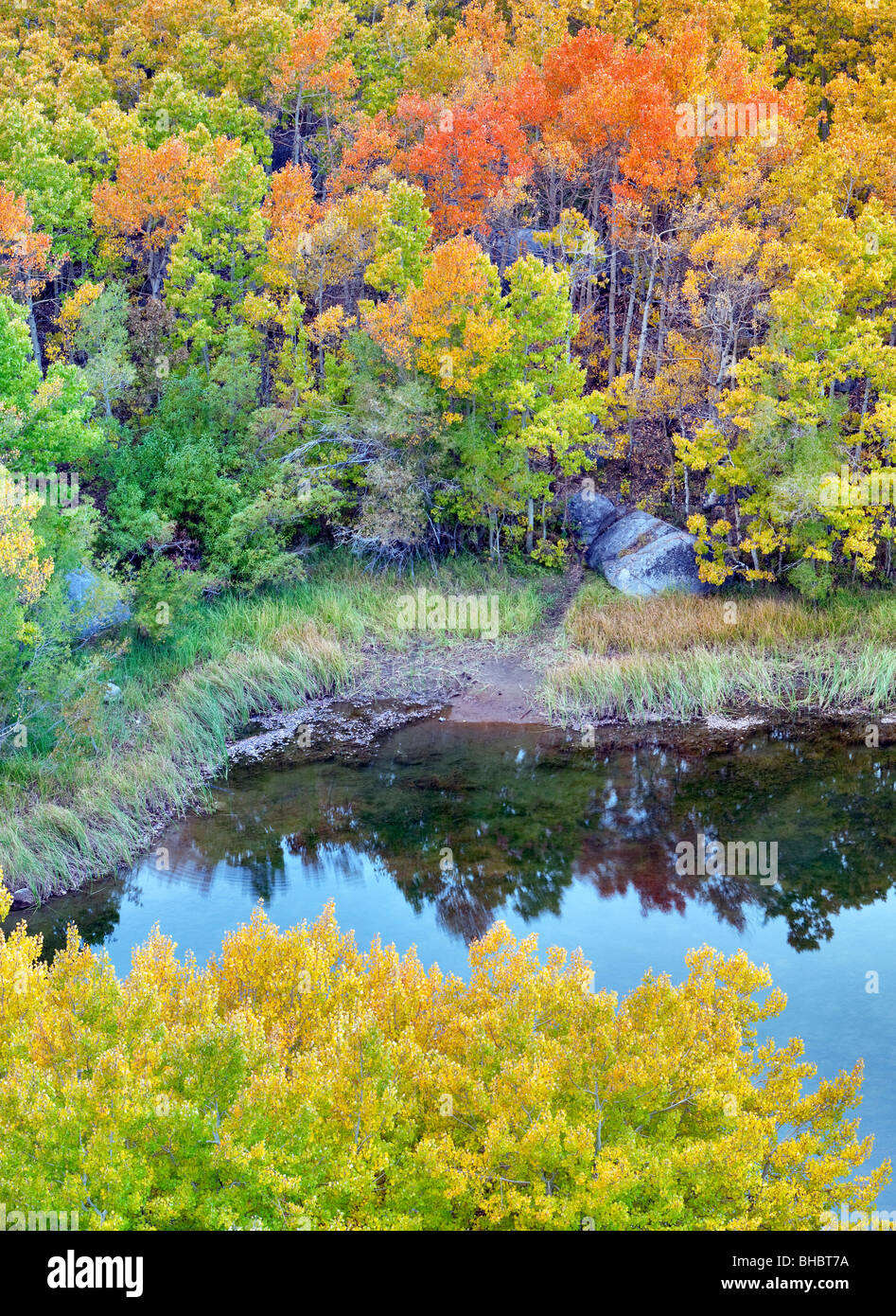 Cardinal Pond with fall colored aspens. Bishop Canyon. California Stock ...