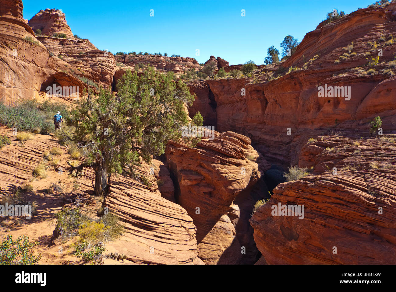 USA, Utah, Vermilion Cliffs NM, Paria Canyon-Vermilion Cliffs ...