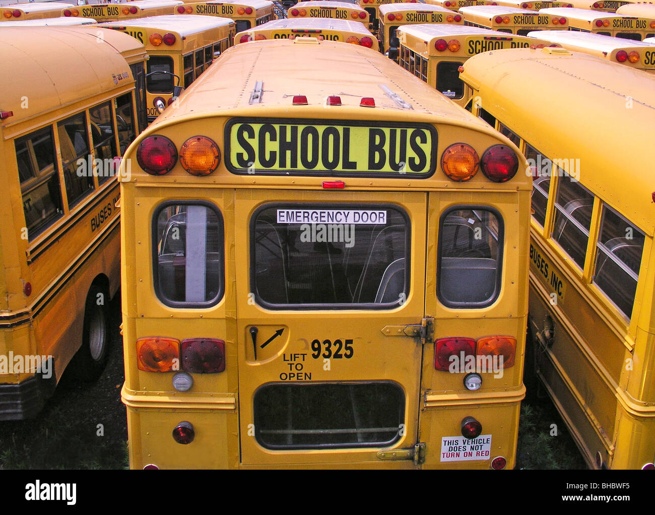 yellow school buses Stock Photo - Alamy