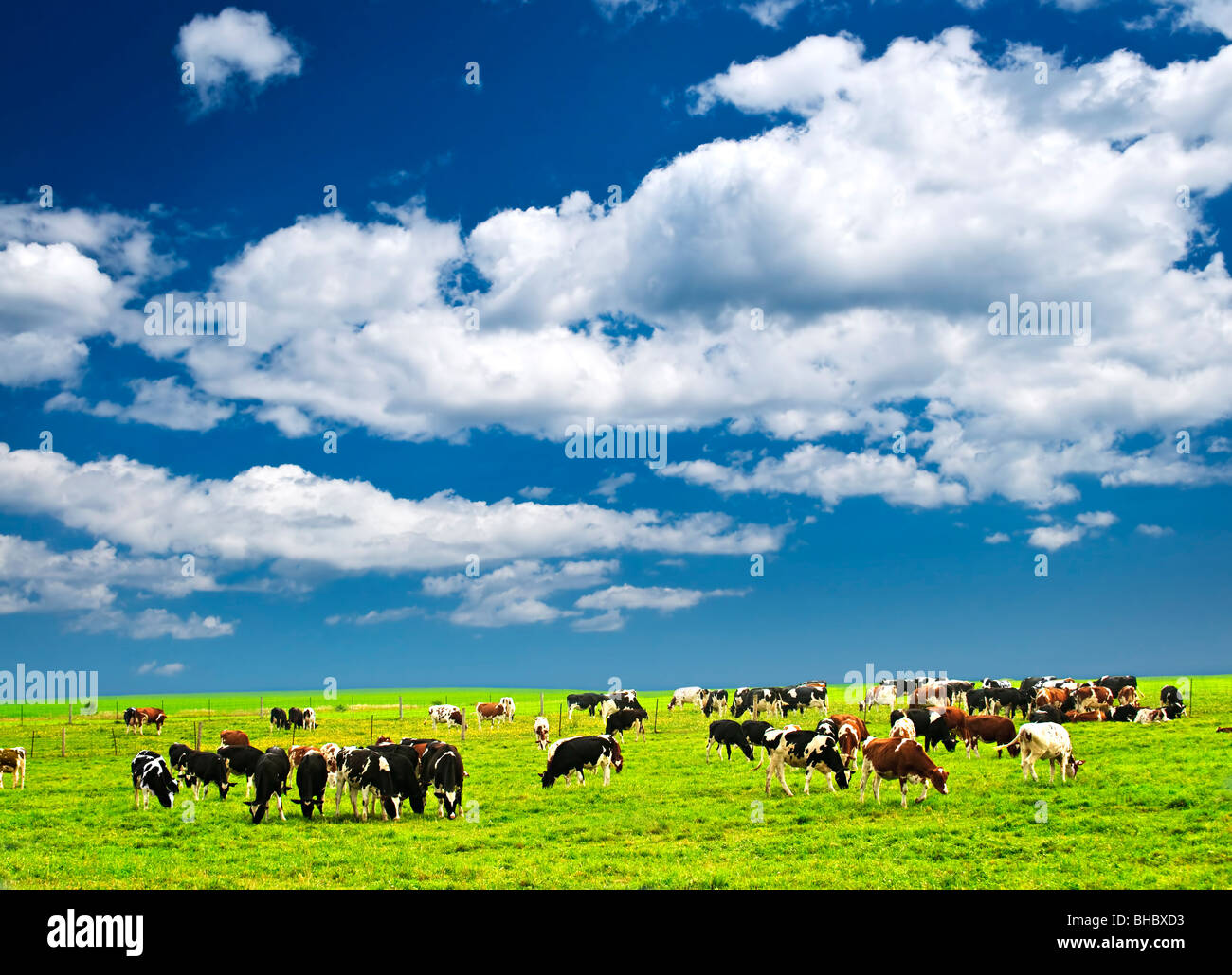 Small scale farm hi-res stock photography and images - Alamy