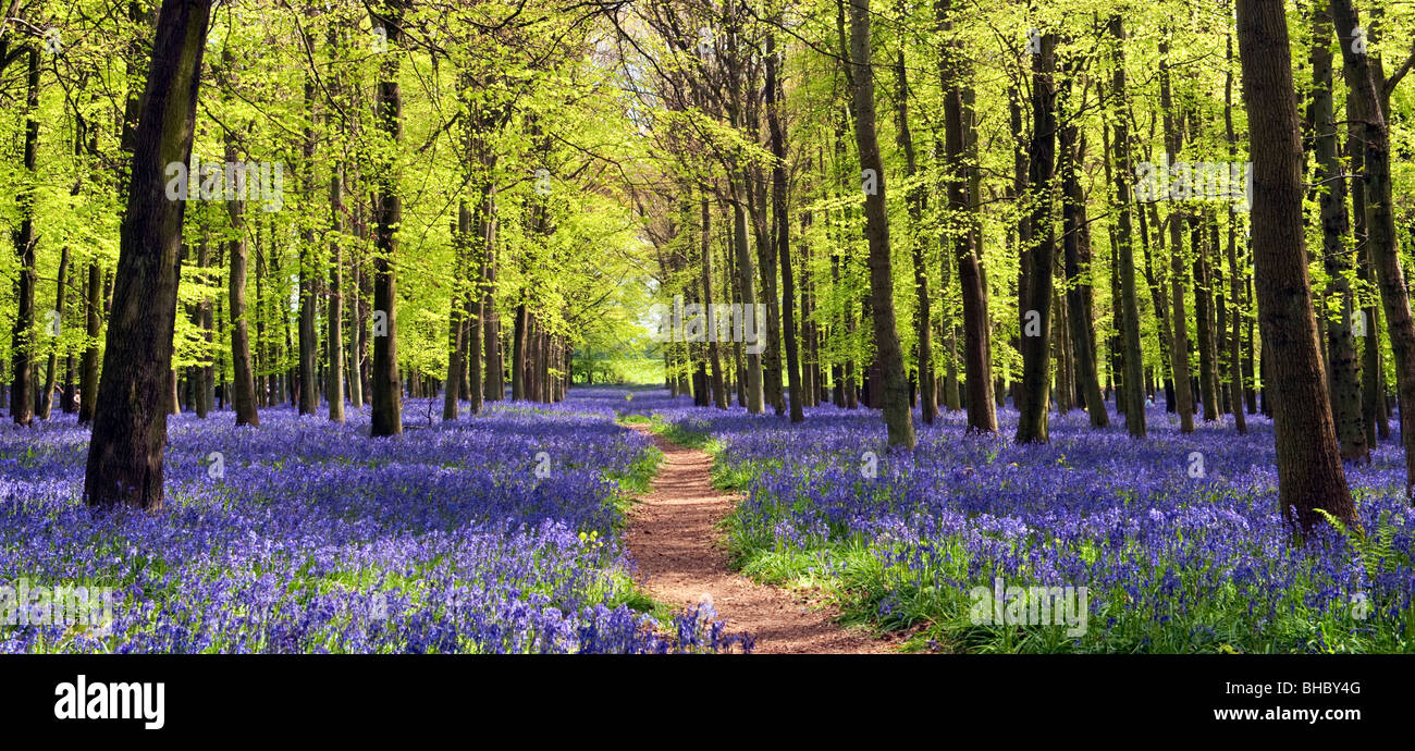 Dockey wood hi-res stock photography and images - Alamy