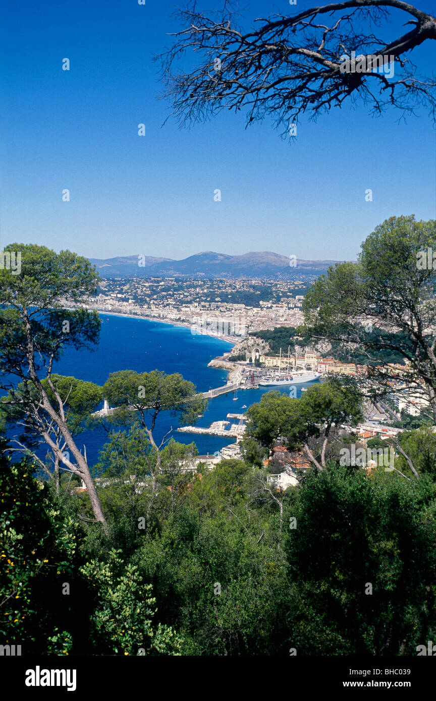 Overview of the city of Nice with the typical mediterranean pine tree ...