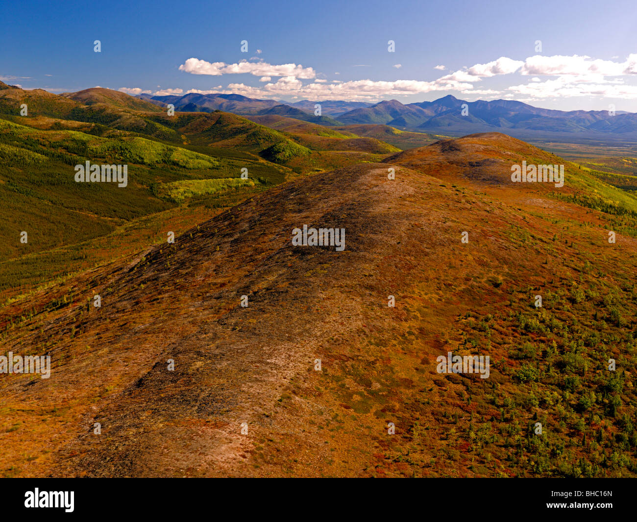 Vacation in alaska pictures hi-res stock photography and images - Alamy