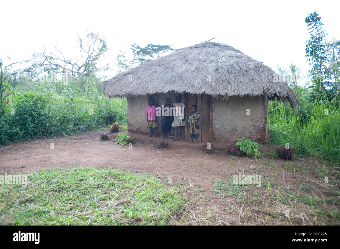 Children in front of traditional home in Hoima Uganda Africa Stock ...