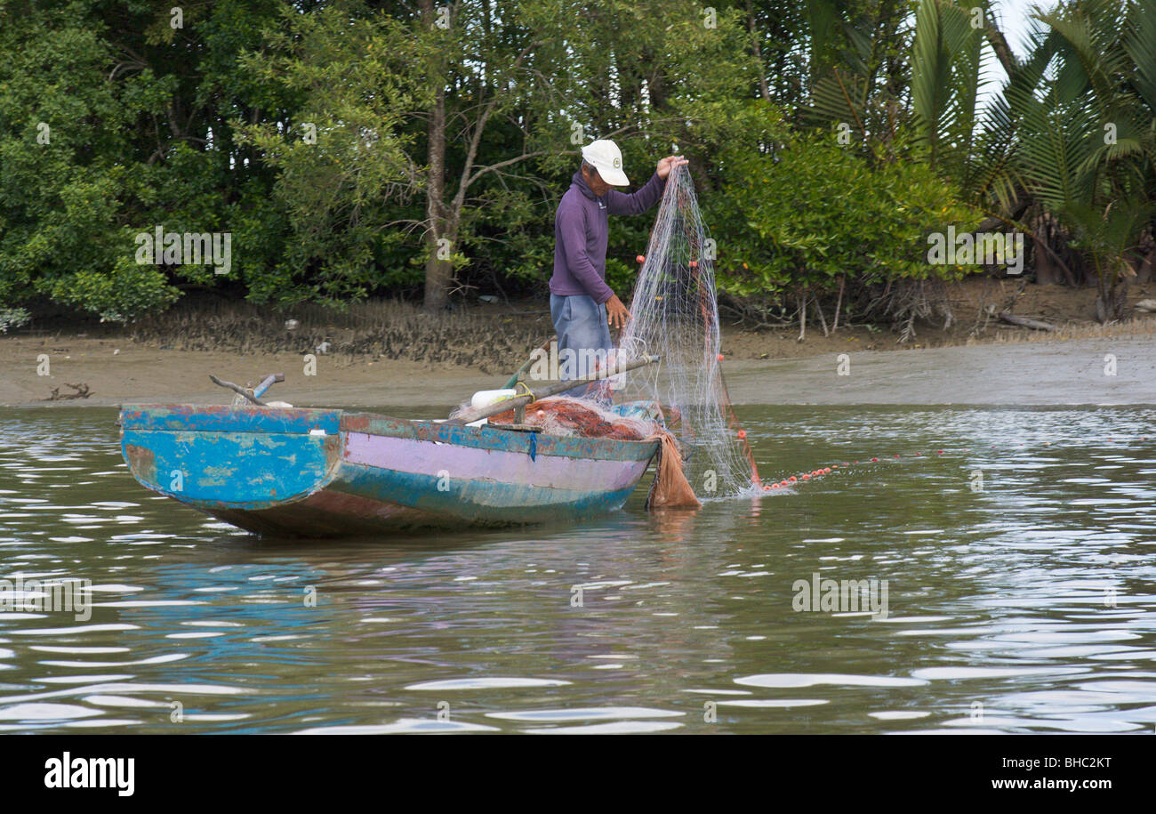 fisherman fishing in traditional way, Bako National Park, Bako, Sarawak ...