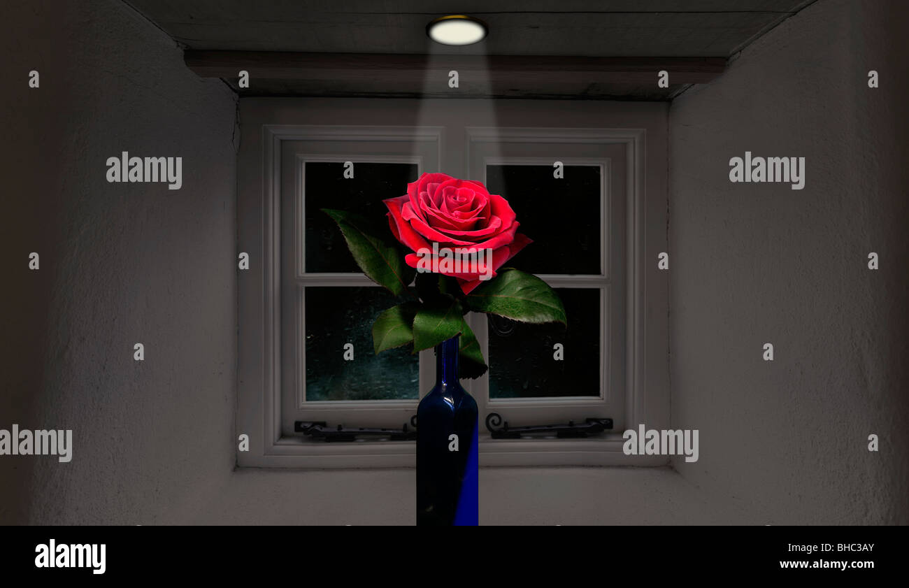 Rose night light hi-res stock photography and images - Alamy