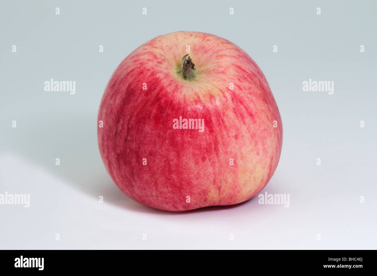 Domestic Apple (Malus domestica), variety: Piros, apple, studio picture ...