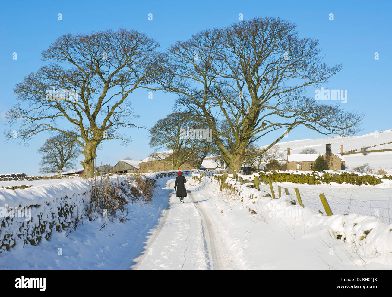 Female walking up snowy lane near Storiths, Wharfedale, Yorkshire Dales ...