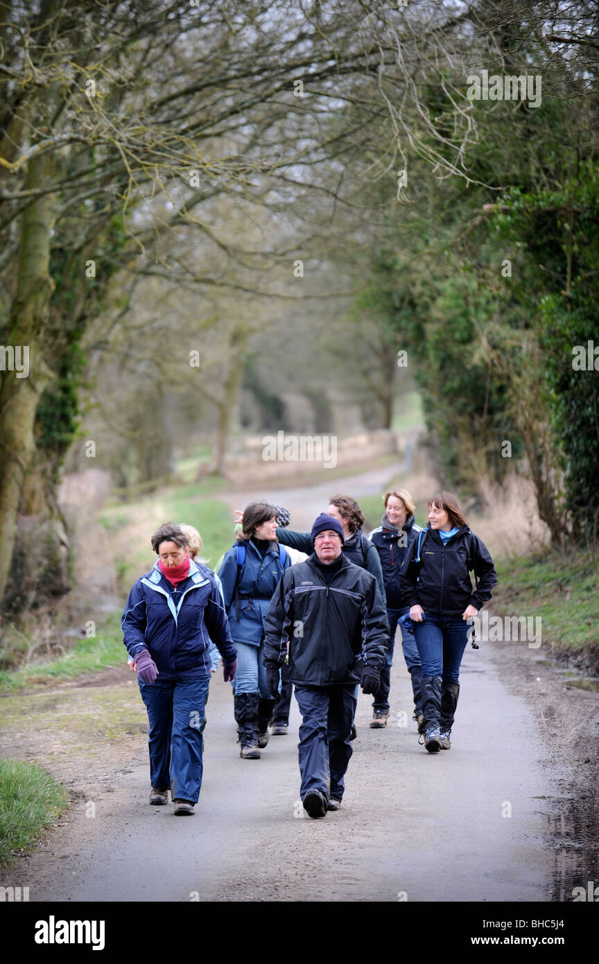 A small group on a walking holiday in the Cotswolds, Gloucestershire UK ...