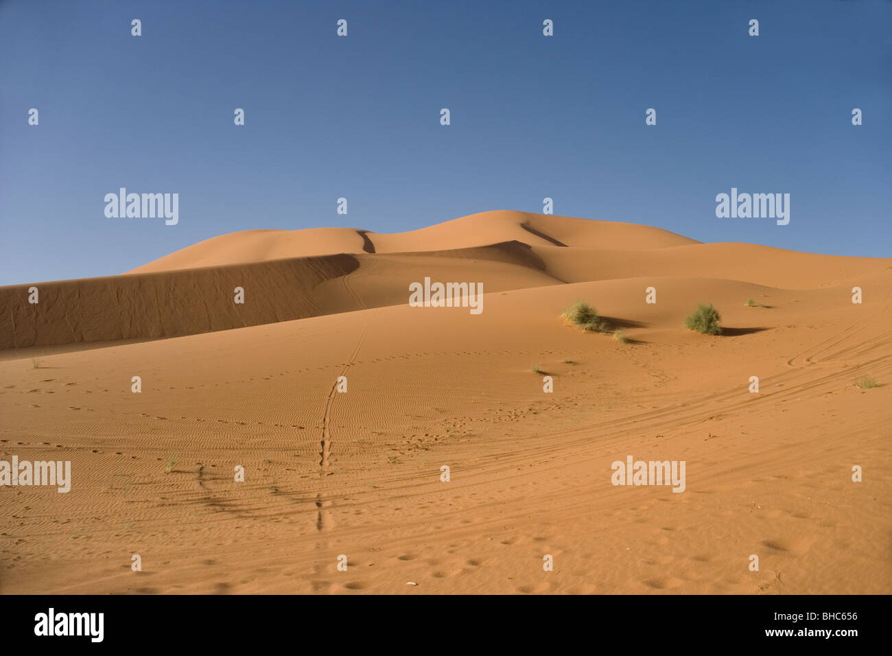 The sand dunes at Erg Chebbi in the Sahara Desert in Morocco Stock ...