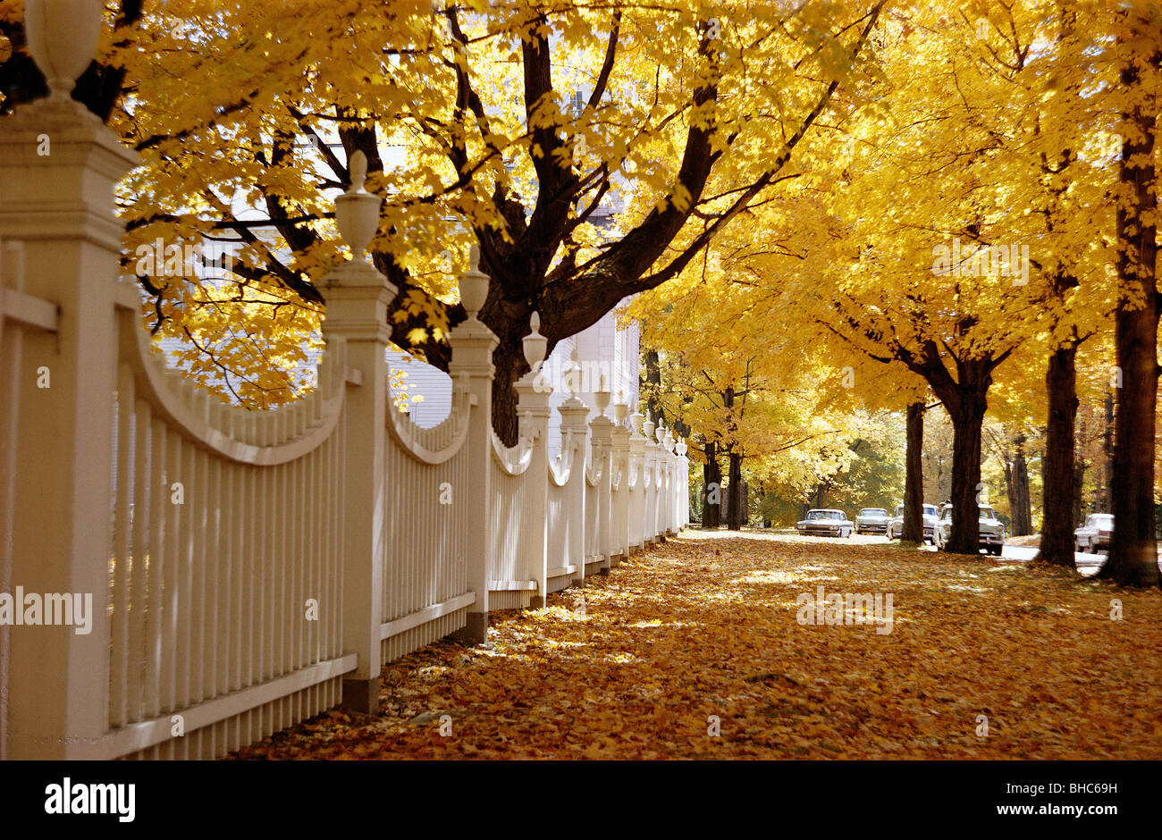 Beautiful fall day Stock Photo - Alamy