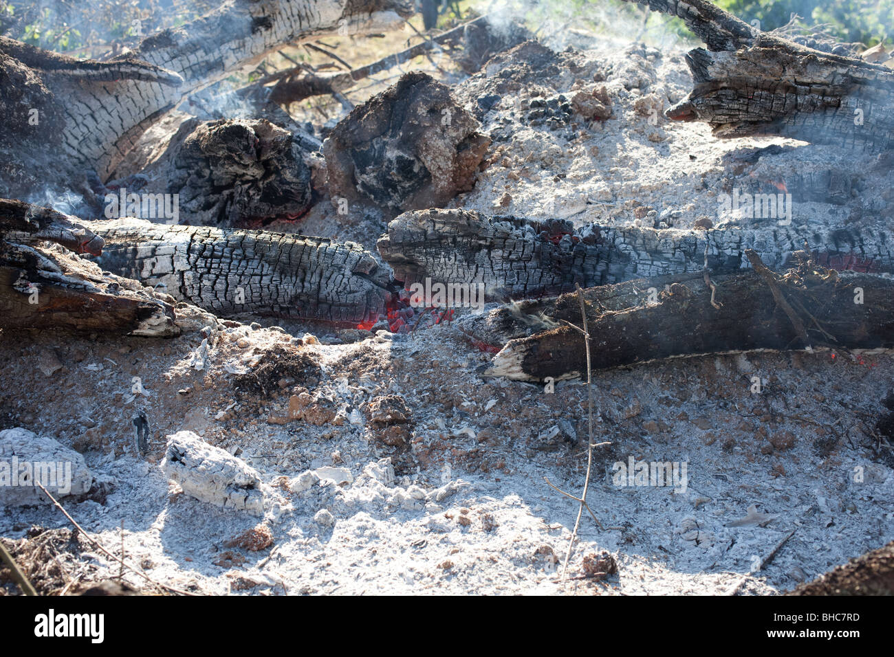 Ember and ash hi-res stock photography and images - Alamy