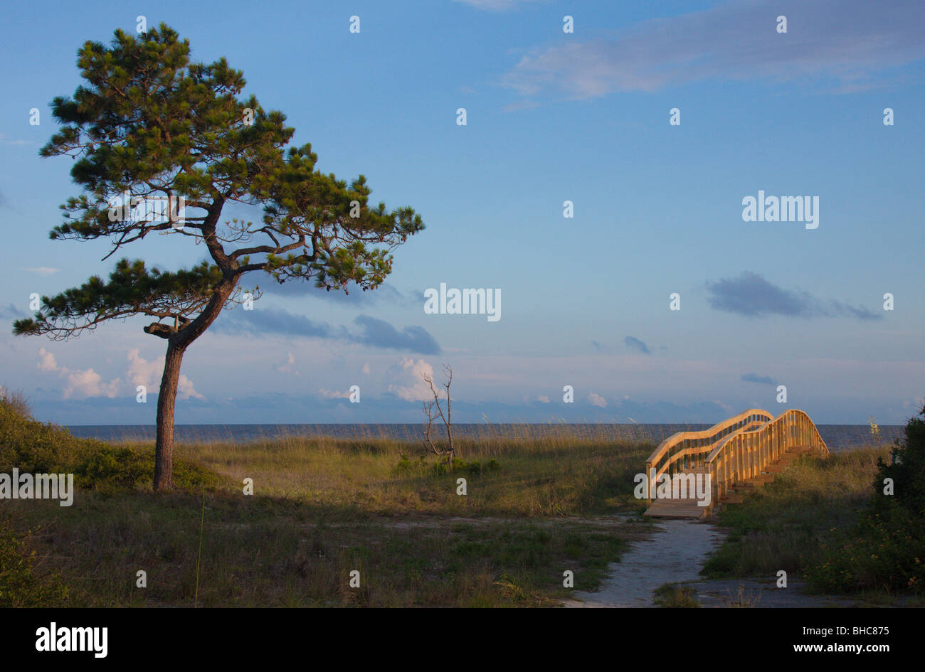 Alligator point beach hi-res stock photography and images - Alamy