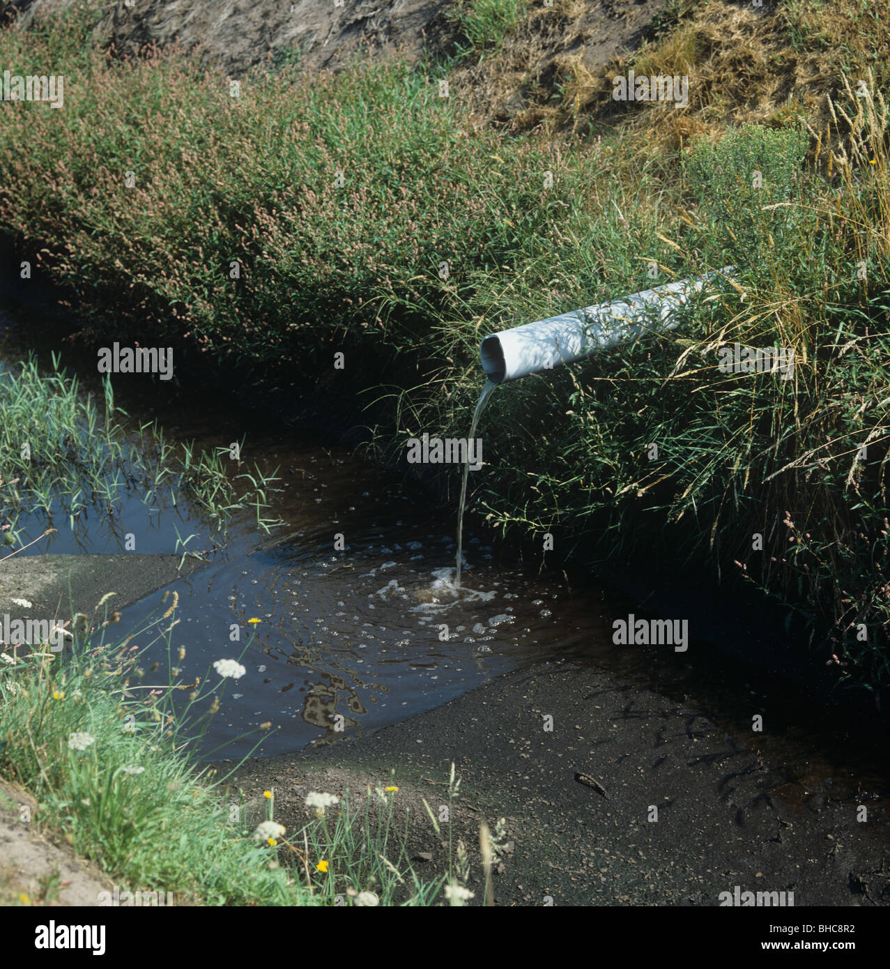 Water contamination hi-res stock photography and images - Alamy