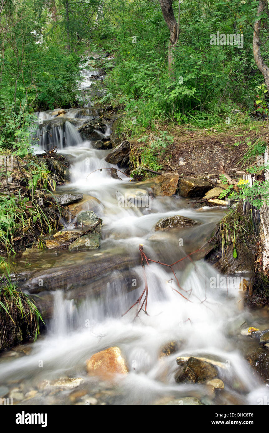 Cascades of the mountain river in the forest Stock Photo - Alamy
