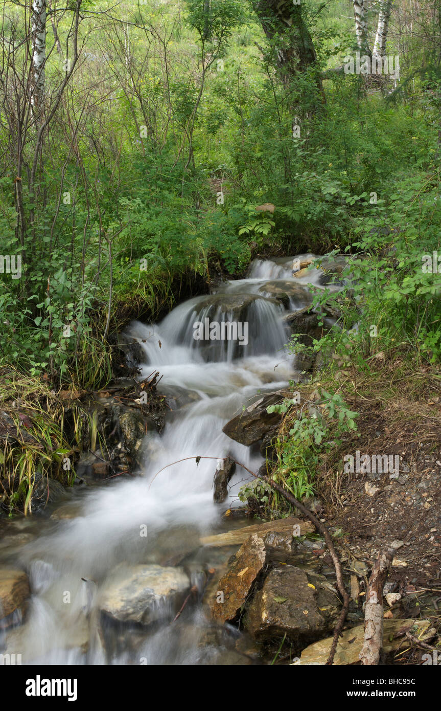 Water in fast mountain stream hi-res stock photography and images - Alamy
