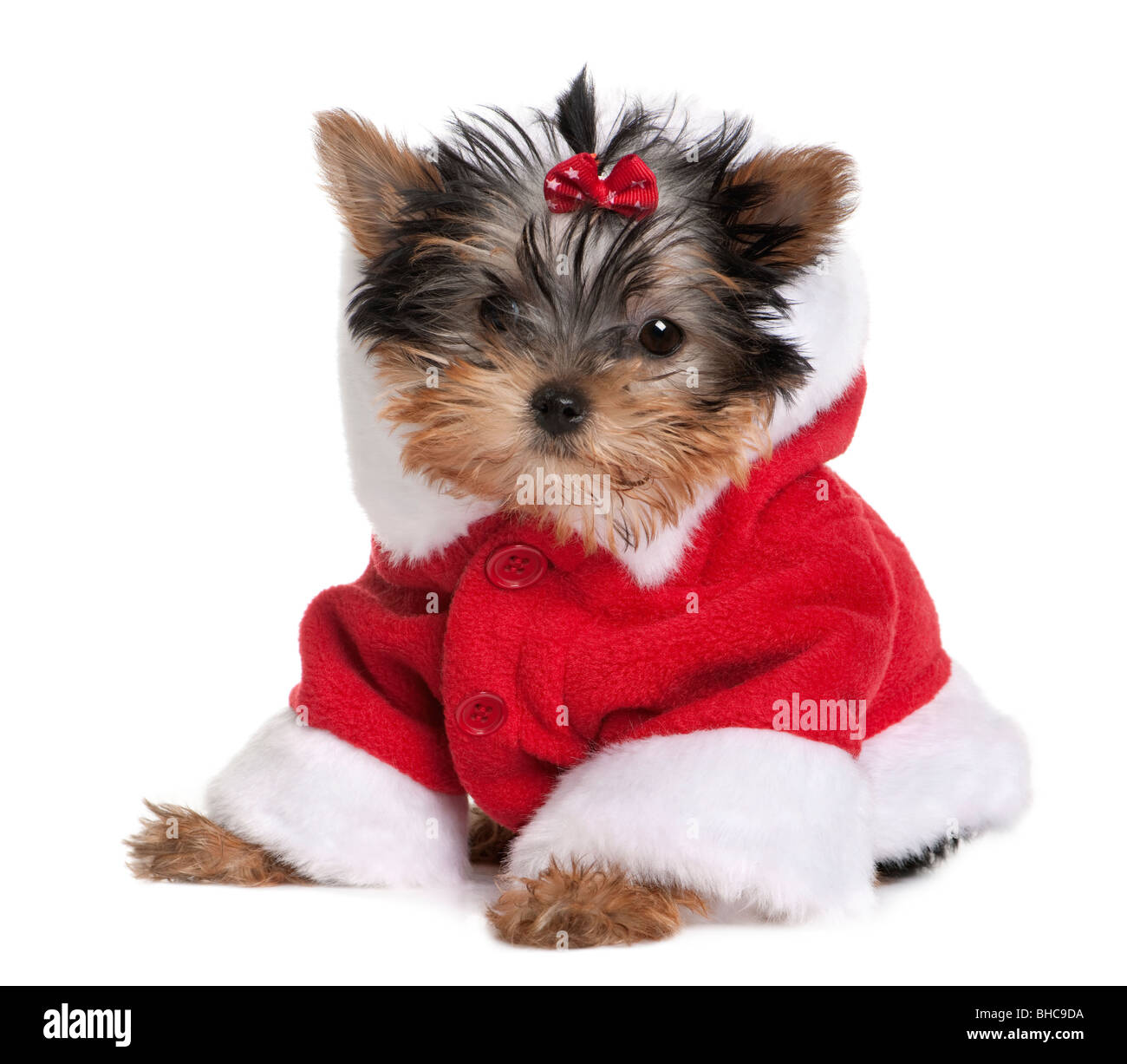 Santa claus outfit Cut Out Stock Images & Pictures - Alamy