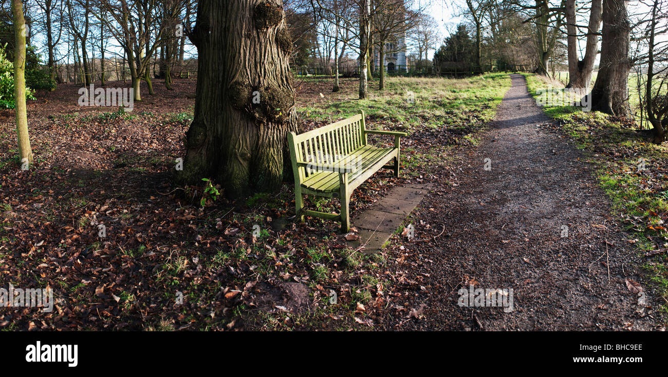 footpath through woodland between trees Stock Photo - Alamy