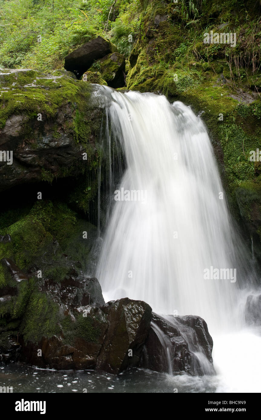 Cold and rapid water stream falling down between the stones with green ...