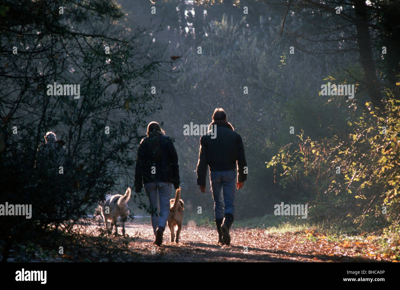 40s couple walking dog hi-res stock photography and images - Alamy
