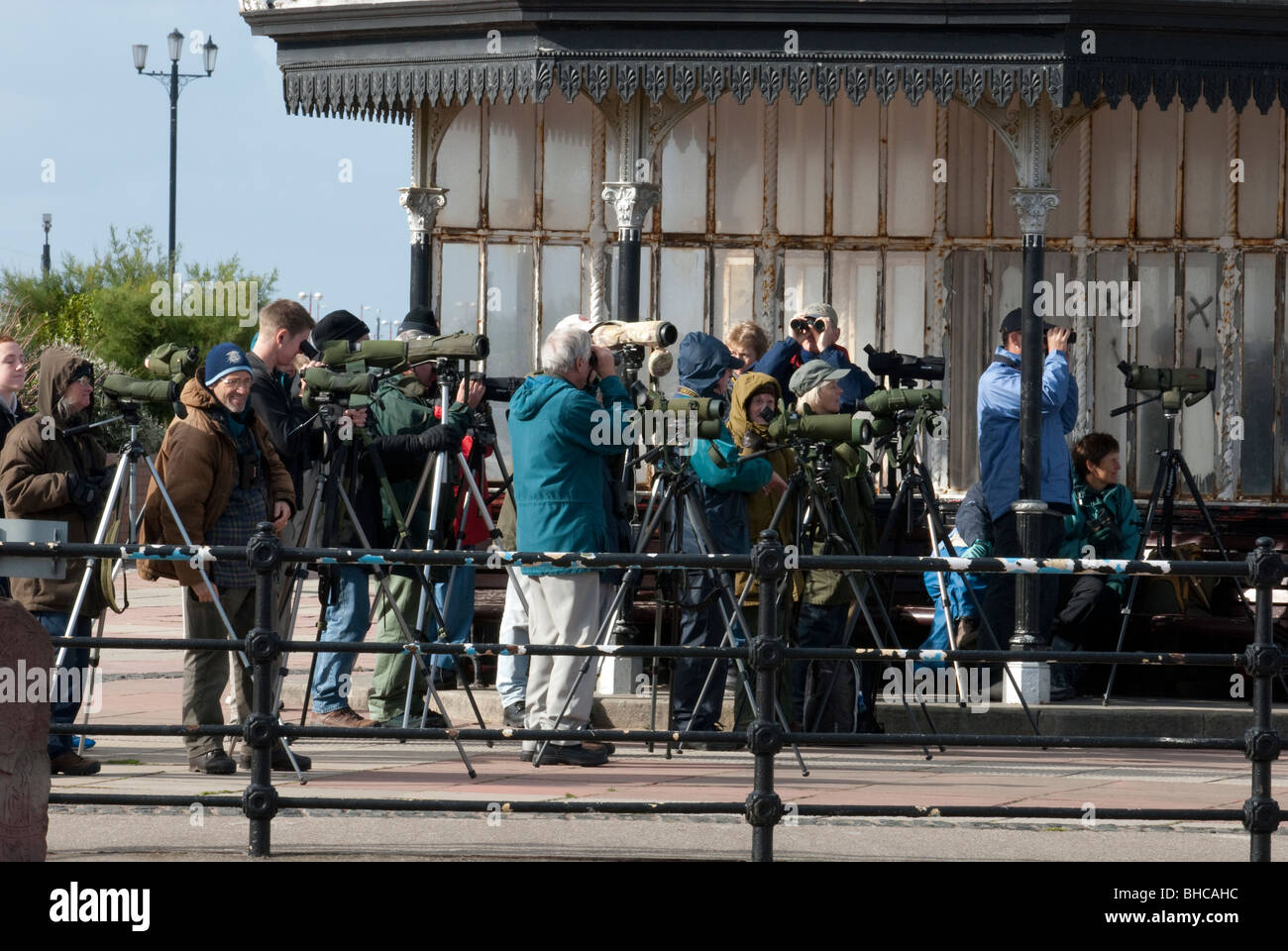 Group of Twitchers Birdwatchers with spotting scopes Stock Photo - Alamy
