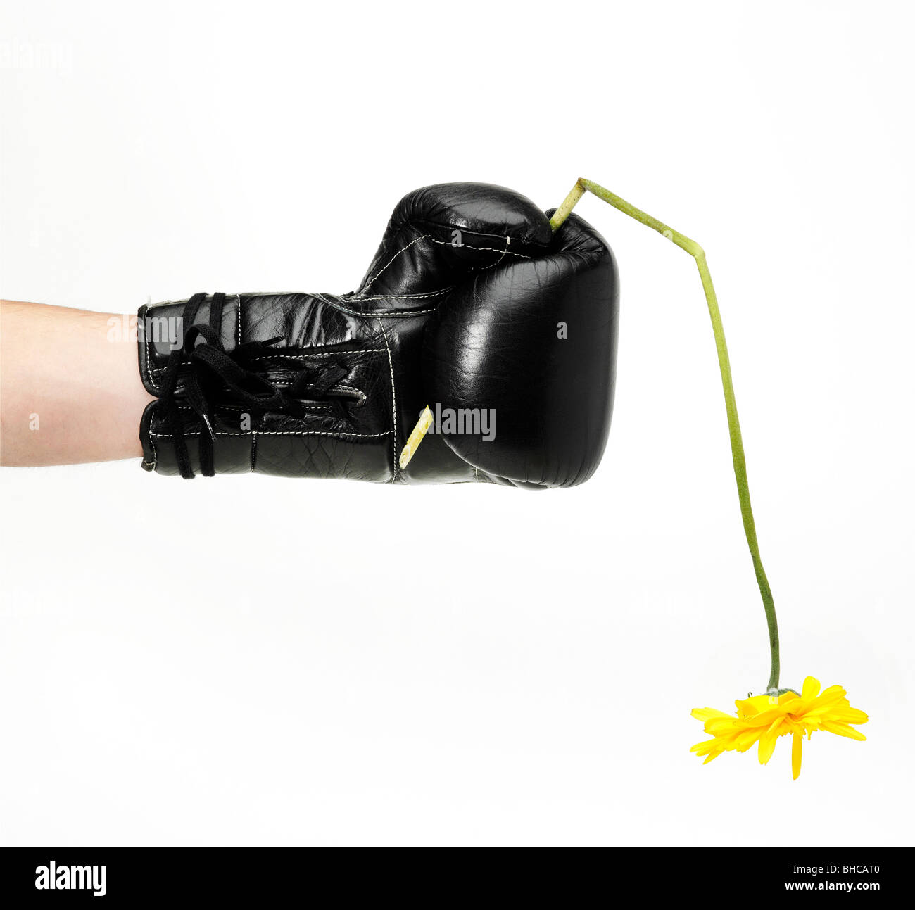 fight for nature Stock Photo - Alamy