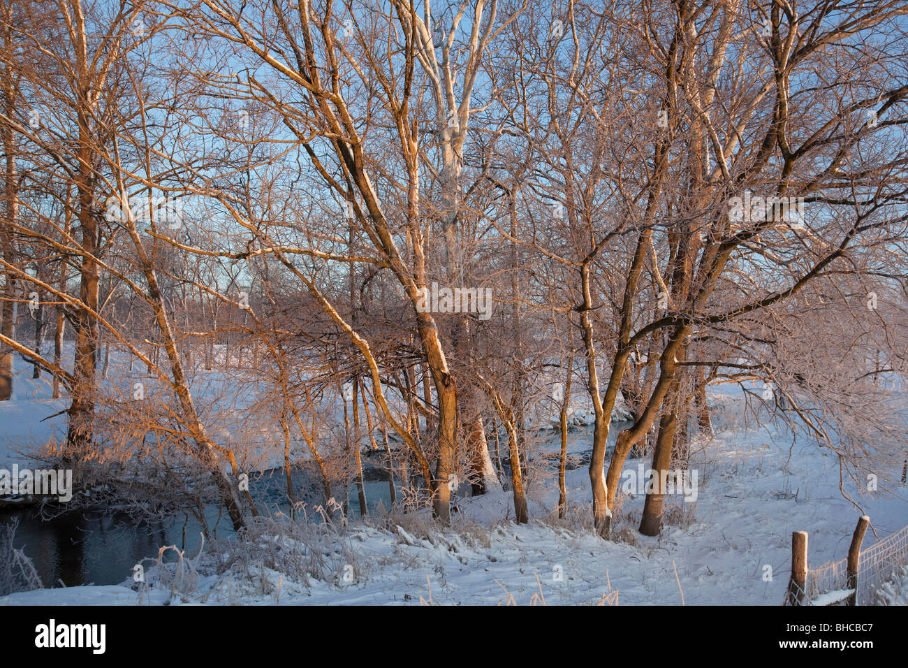New Palestine, Indiana - A rising sun lights up trees on the banks of a ...