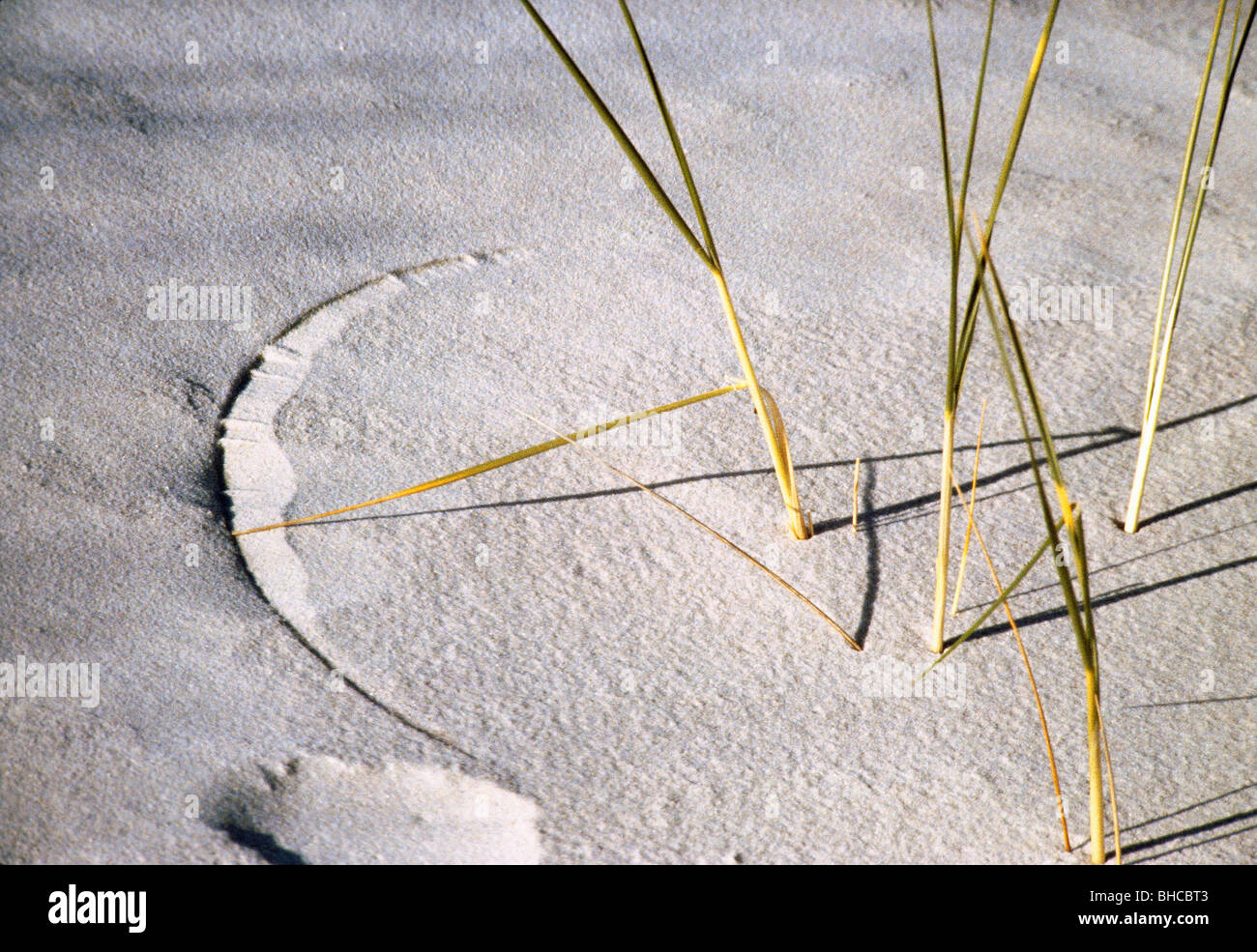 Pattern in sand formed by the elements Stock Photo - Alamy