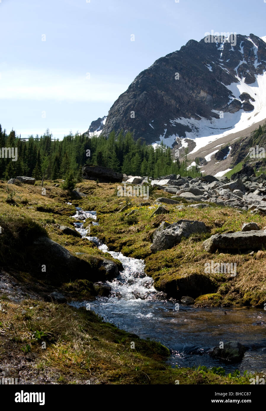 Stream outdoors hi-res stock photography and images - Alamy