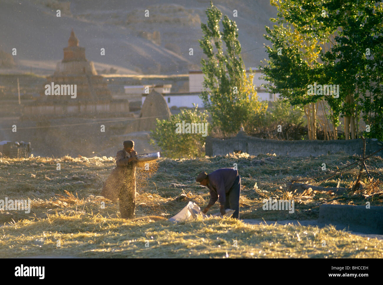 Winnowing barley hi-res stock photography and images - Alamy